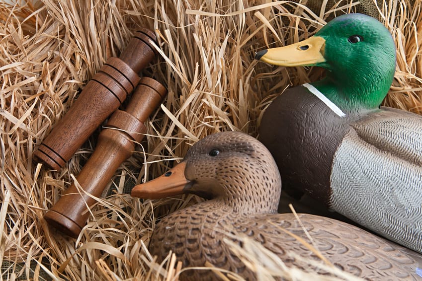 Duck hunting tips: The basics of duck hunting - Trail Camera Expert