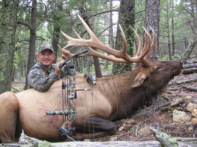 Elk hunting tips: how to track an elk - Trail Camera Expert